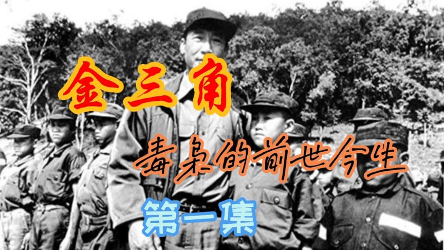 金三角:英国带来邪恶种子,国民党却让邪恶传播!