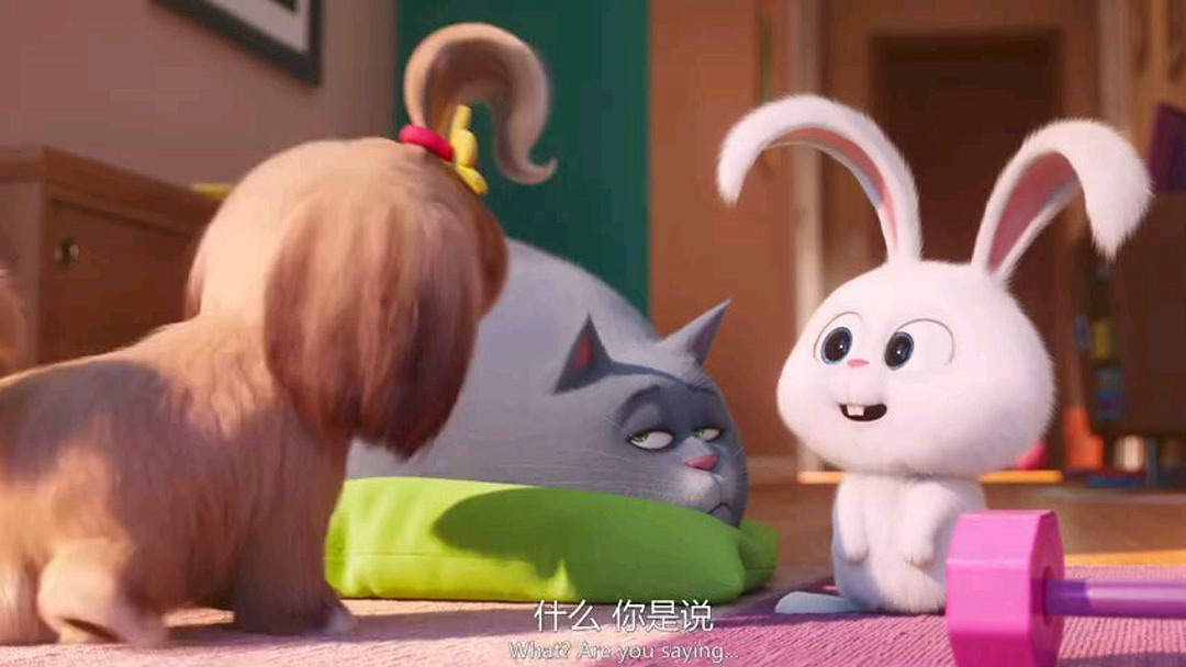 这部美国动画片是真的好看。但是要付费。我忍了。