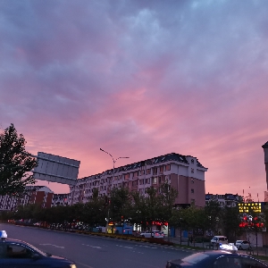 兔硕君 