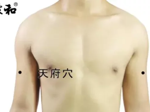 将象和中医艾灸针灸取穴天府穴