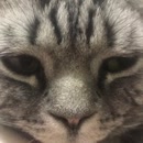 用户3b0b2f72 