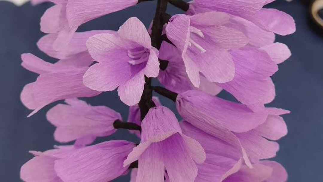 梧桐花开哗啦啦,满身都是小喇叭。桐树花Diy手工教程2