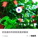 史计元 