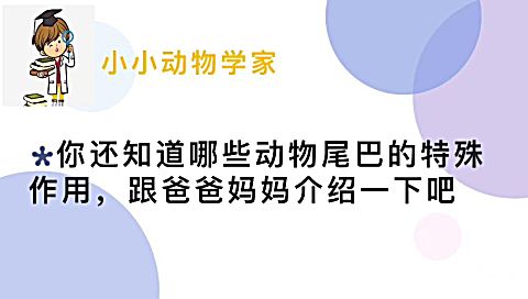 3月6日 综合实践-二年下-尾巴的妙用