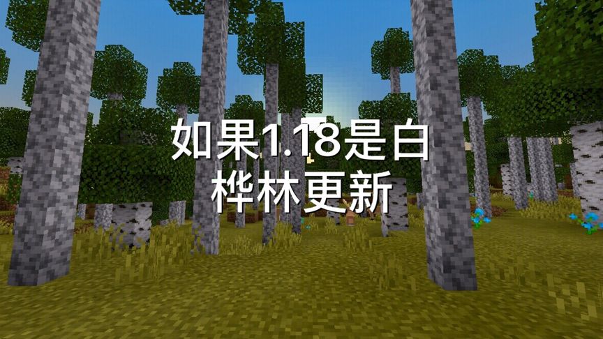 [我的世界] 如果1.18是白桦林更新