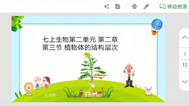 七上生物第二单元第二章第三节植物体的结构层次