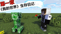《我的世界》小萌新生存日记01:初入mc的标准结局!