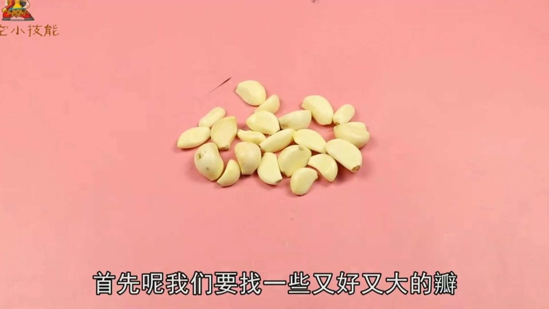 在家种大蒜,不用放土,长的粗壮茂盛,天天吃到新鲜蒜苗