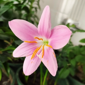 阿炜同学来报道 