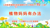 小学语文二年级(上册)植物妈妈有办法(课堂实录)