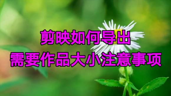 剪映如何导出需要作品大小注意事项,实用教程一看就会