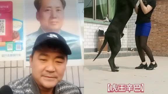 和 @墨界黑狼犬 一起 #合拍