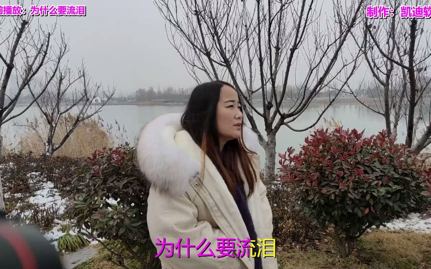 《为什么要流泪》欣赏,如何把制作好的mv上传到全民k歌