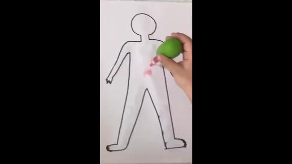 了解人体血液循环