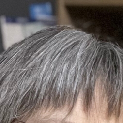 美笛雅 