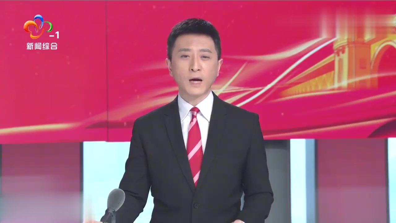 两会微访谈:大武汉就是大市场