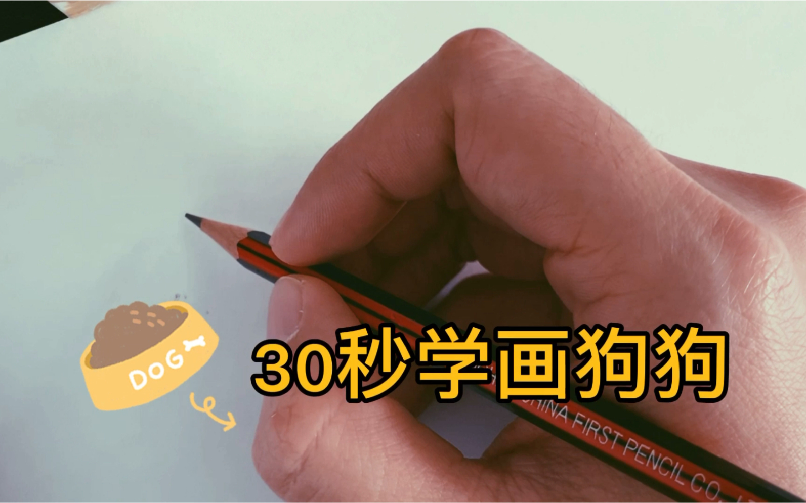 【30秒学画】学会怎么画简单又逼真的狗狗