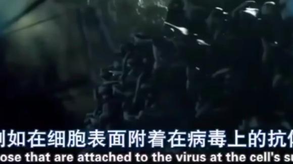 病毒与人体细胞大战