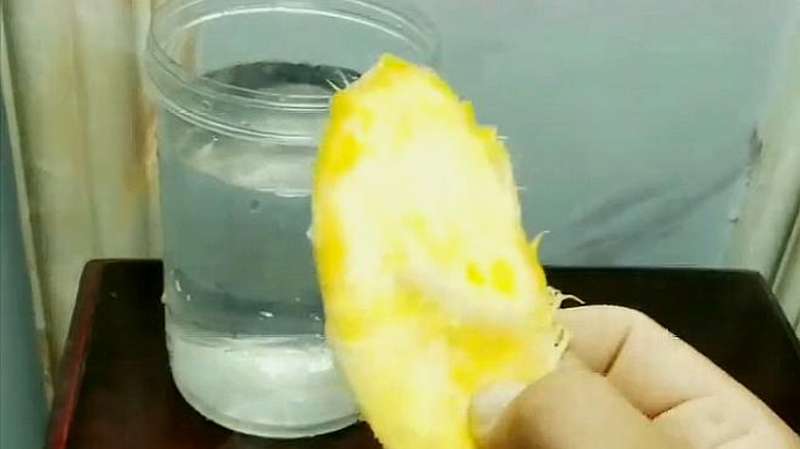 简单几步,教你在家种植芒果,喜欢吃的有福利啦,赶紧试试!