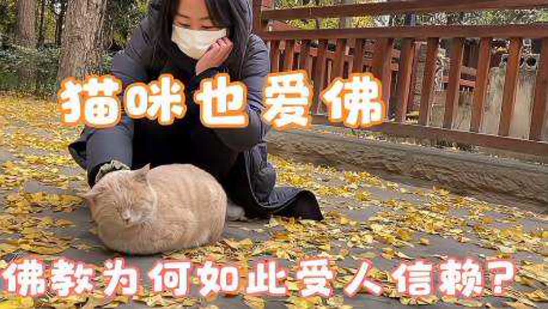 很多有名的景区都是和佛教有关,今天我们就去看看文殊院