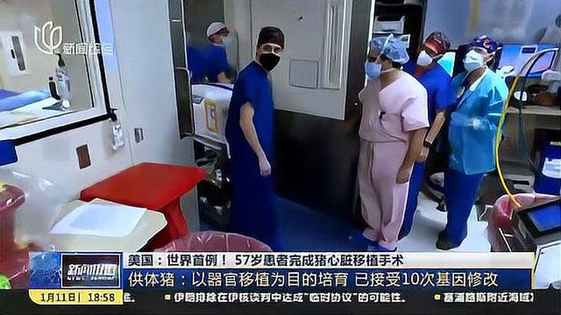 美国:世界首例!57岁患者完成猪心脏移植手术