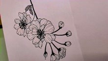 三分钟带你了解如何画简笔画,既好看又解压,你也可以!