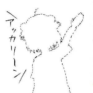 凤凰院常陈 