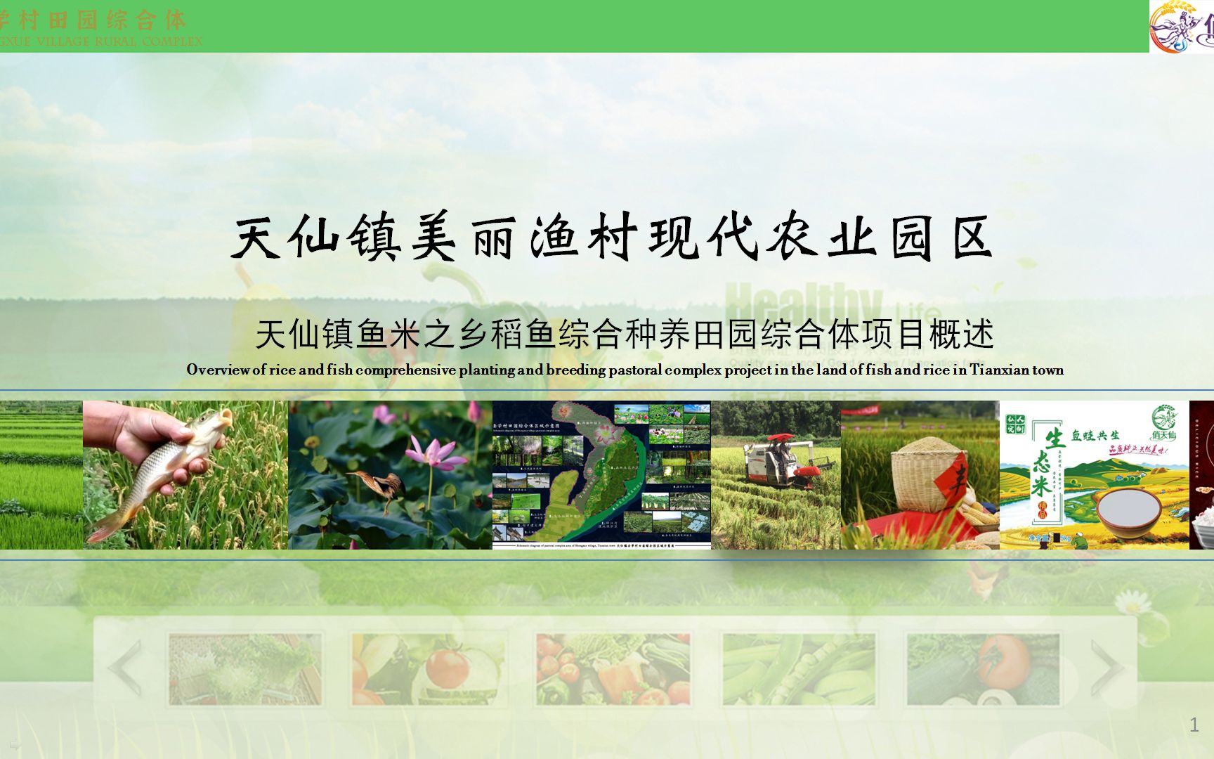 乡村振兴 现代智慧农业 田园风光建设