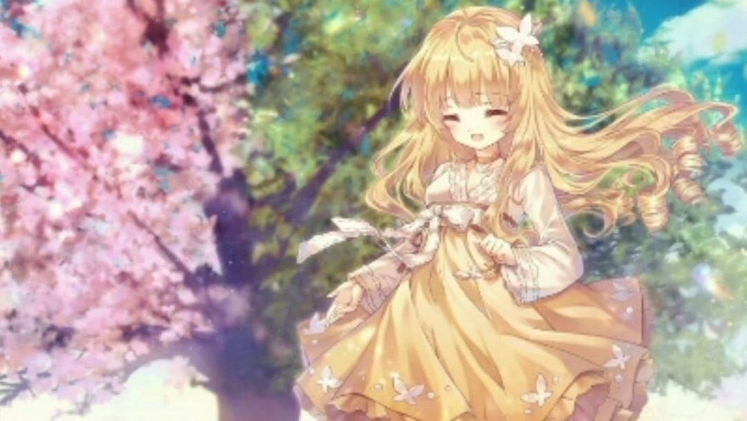 开封小花仙卡牌和叶罗丽卡牌