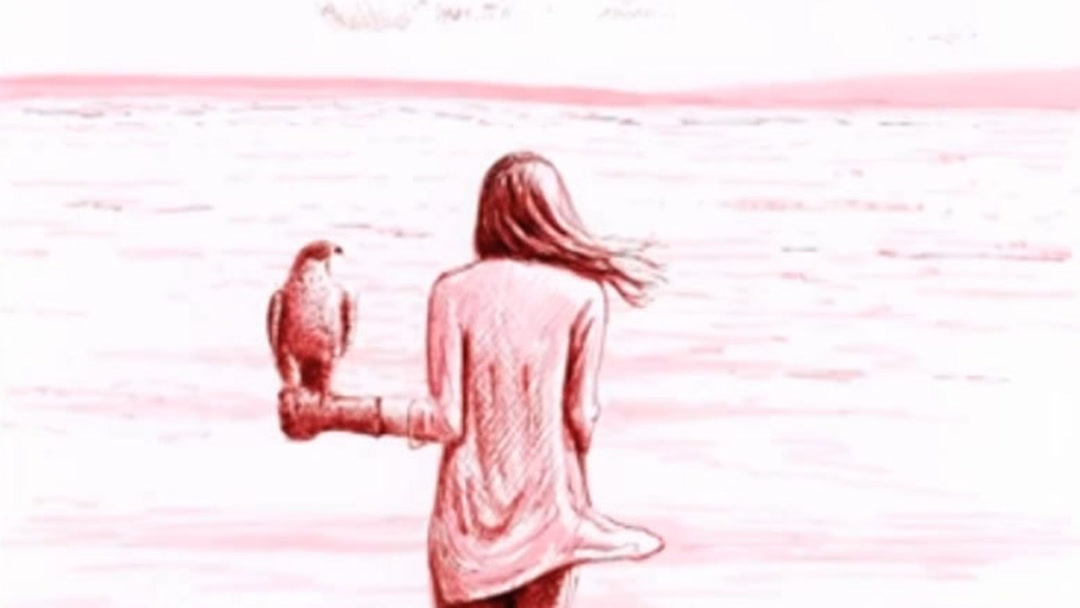 简笔画:凝望远方的养鹰少女