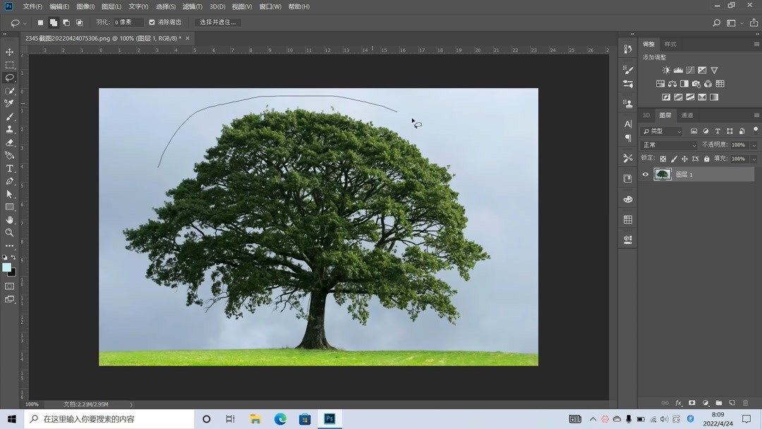 PS抠图,教你如何扣取大树