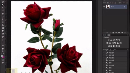 PS基础教程 PS工具应用教程 PS魔棒工具 魔棒抠图教程