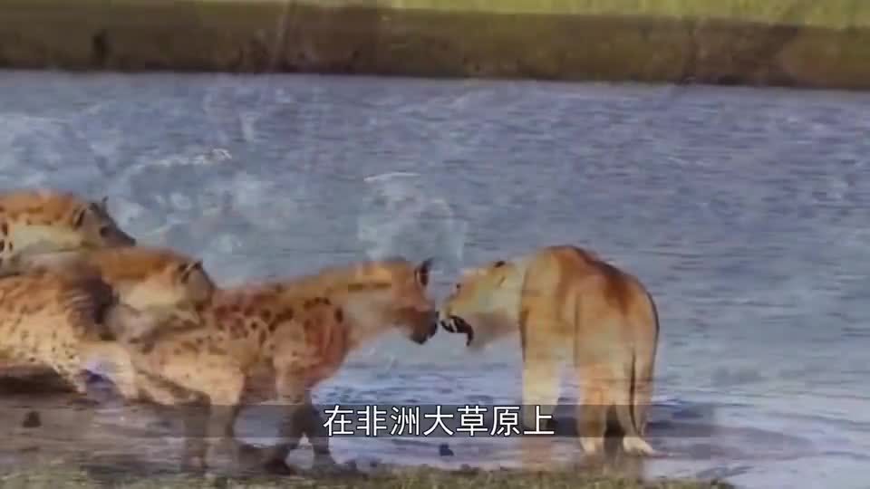 肛肠科副主任医师治疗肛肠科主任医师,就有好戏看了!