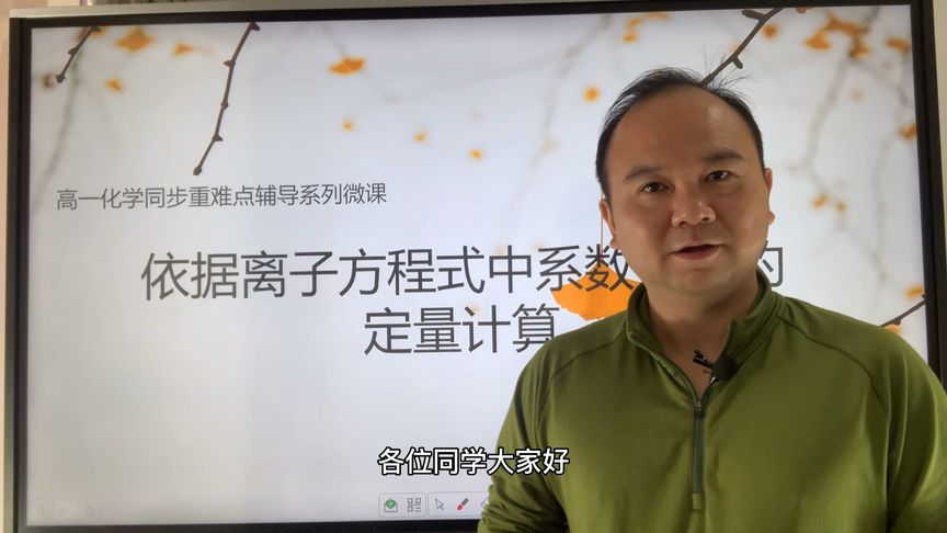 付费微课:高一化学——根据离子方程式中系数关系的定量计算
