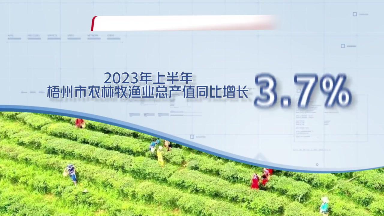 年中数据看发展|今年上半年,#梧州农林牧渔业总产值如何?#广西#云说...