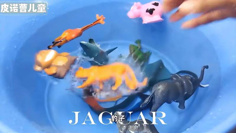 儿童益智小动画,一起来认识这些小动物吧,真有趣呢!