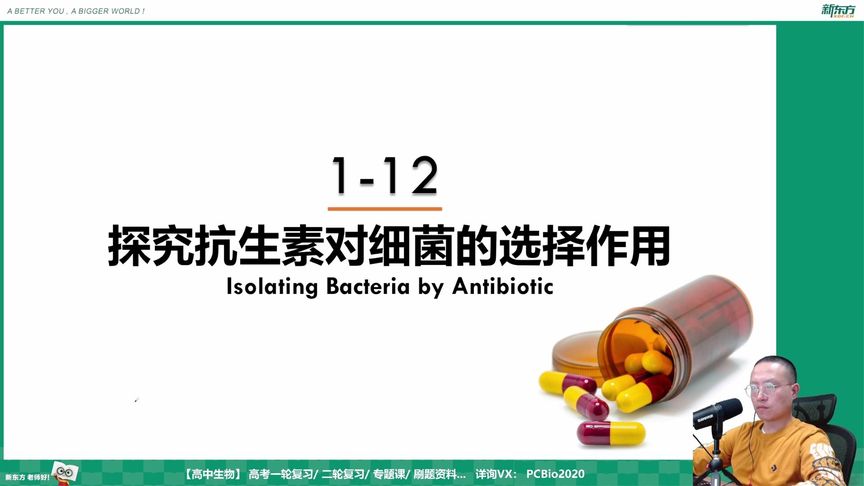 实验12 探究抗生素对于细菌的选择作用