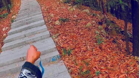 手丫弹弓山派无架弹弓传统估打