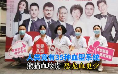 熊猫血珍贵,恐龙血更少!活见久,人类还有众多更稀有的血型系统