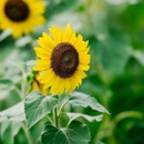 琳琳最美最棒了 