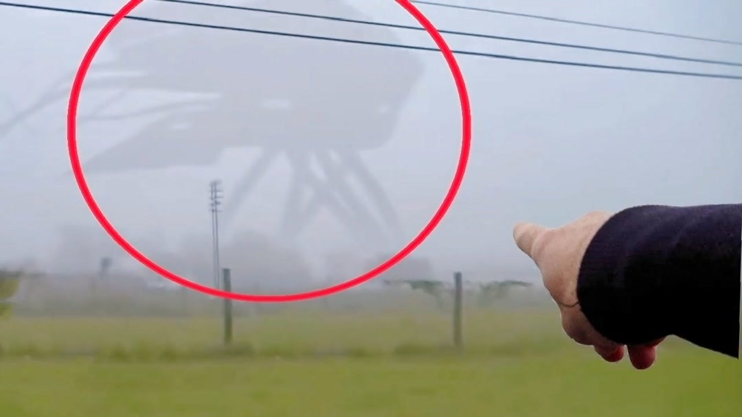 外星生物?世界上真的有不明生命体吗?5个未知的巨大不明生物