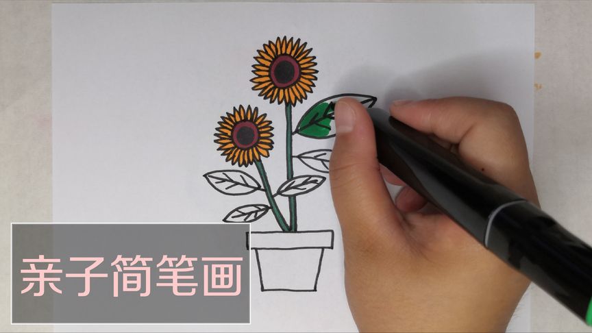 盆栽植物花卉简笔画教程,简单易学,建议宝妈收藏