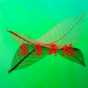 康康舞蹈 