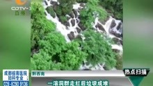 一溶洞群走红后垃圾成堆