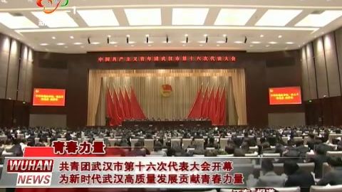 共青团武汉市第十六次代表大会开幕