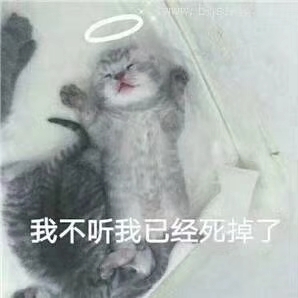 老人家拎拎 