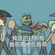 顶级鲤鱼帝 