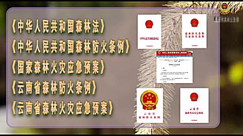 迪庆州森林公安局防火宣传片