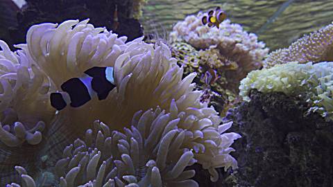 索尼AX700摄像机样片3(4K HDR)