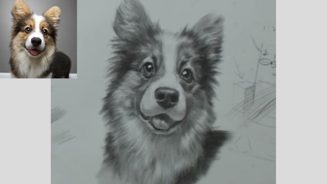 素描大神教你画动物超真实素描,真是素描零基础的福利啊!